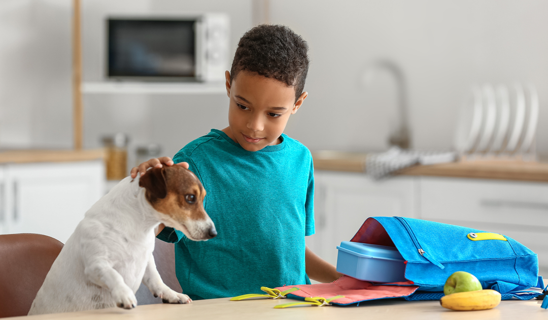 El cuidado de las mascotas como espacio formativo en las escuelas